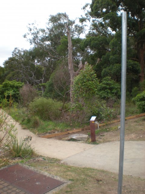 Plaque in honour of Queen Gooseberry, near Bungaree's farm, George's ...