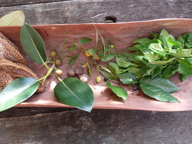 Bush Food | A History of Aboriginal Sydney