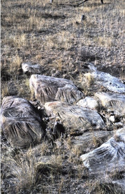 Terry Hie Hie Corroboree Ground and Grinding Grooves | A History of ...