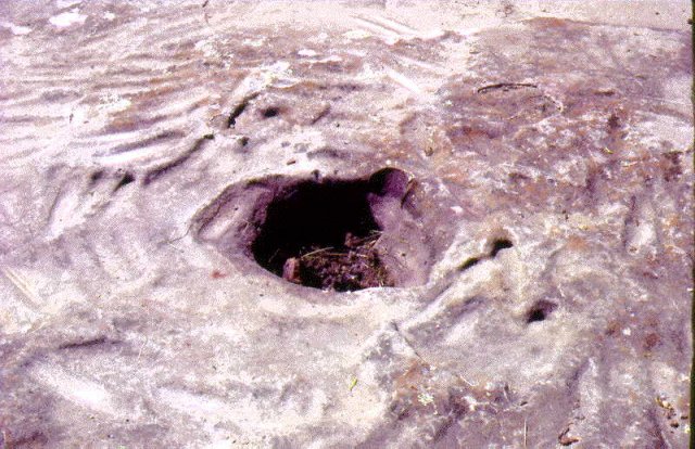 Grinding grooves, Howes Valley. Newcastle Region Library | A History of ...