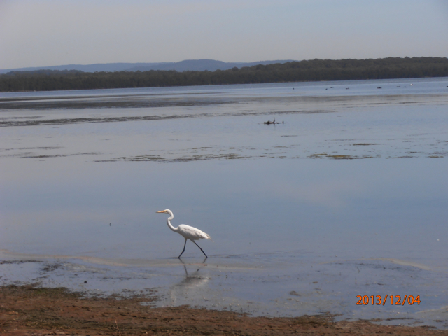 The Glen, Chittaway Point, located near Tuggerah Lake | A History of ...