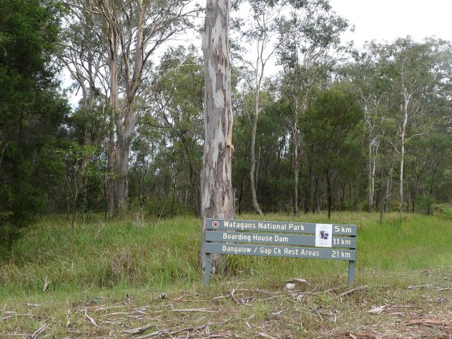 Watagans National Park near Wallis Creek 2013 | A History of Aboriginal ...