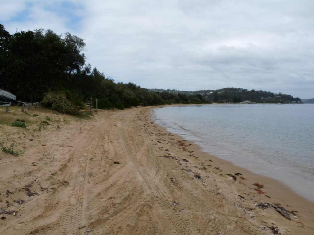 Capture of Arabanoo | A History of Aboriginal Sydney