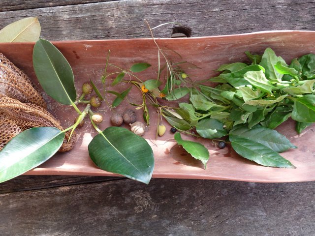 Bush foods | A History of Aboriginal Sydney