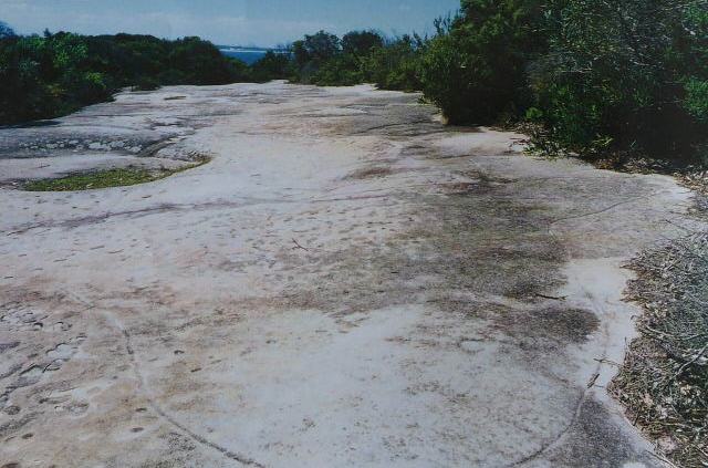 Jibbon Head rock engravings | A History of Aboriginal Sydney