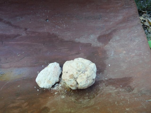 White ochre used for mourning ceremonies | A History of Aboriginal Sydney